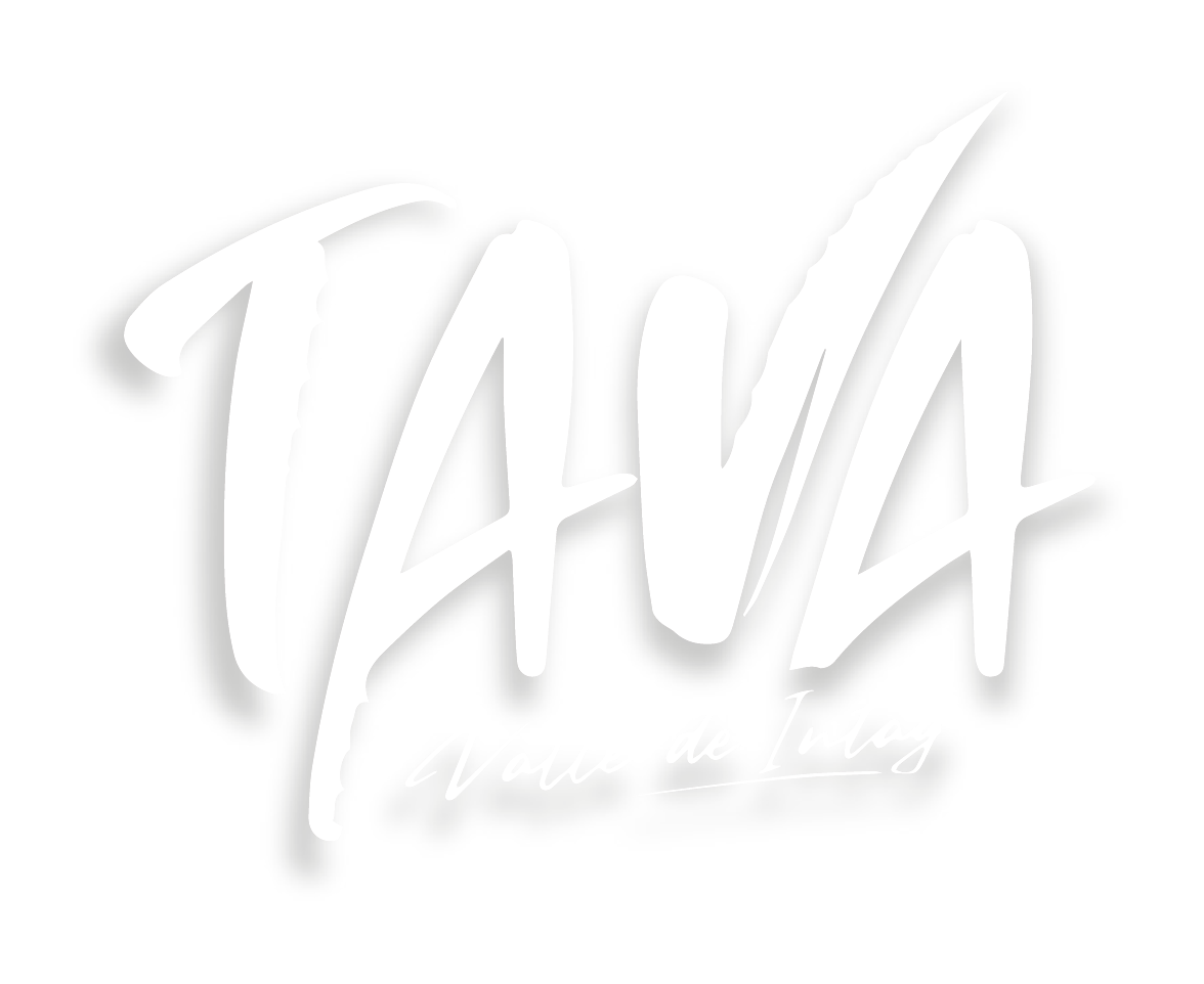 TAVA - El milagro del aloe de Tarquino Vallejos